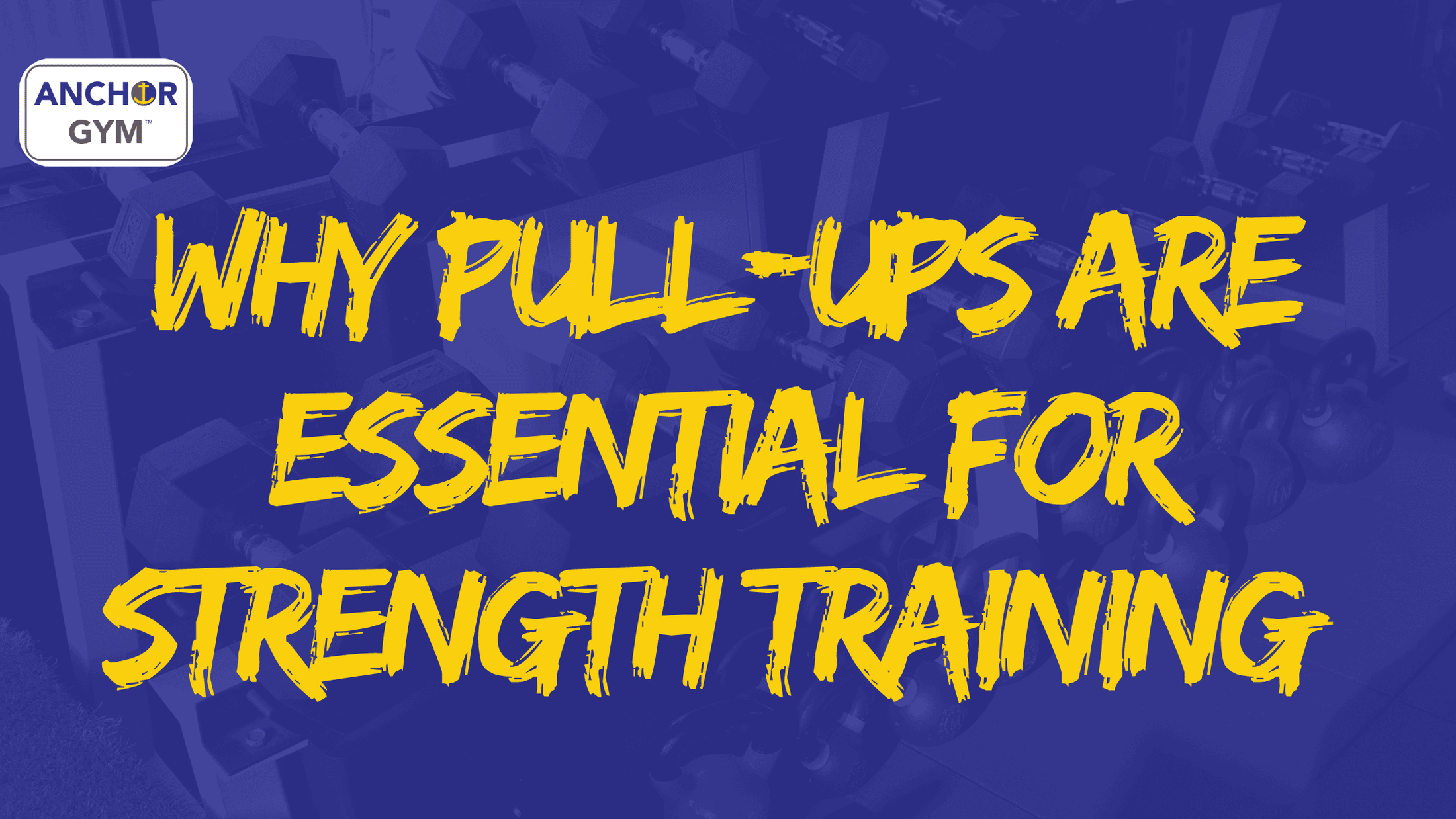 The Best Pull-Up Bars for Your Home Gym – 2025 – The Anchor Gym