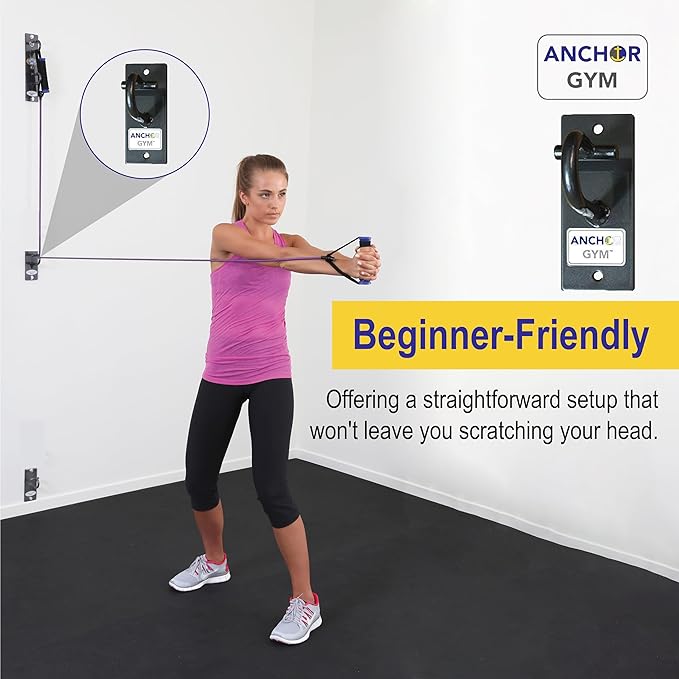 Single Anchor by Anchor Gym | Secure Wall Mount & Gym Workout– The ...