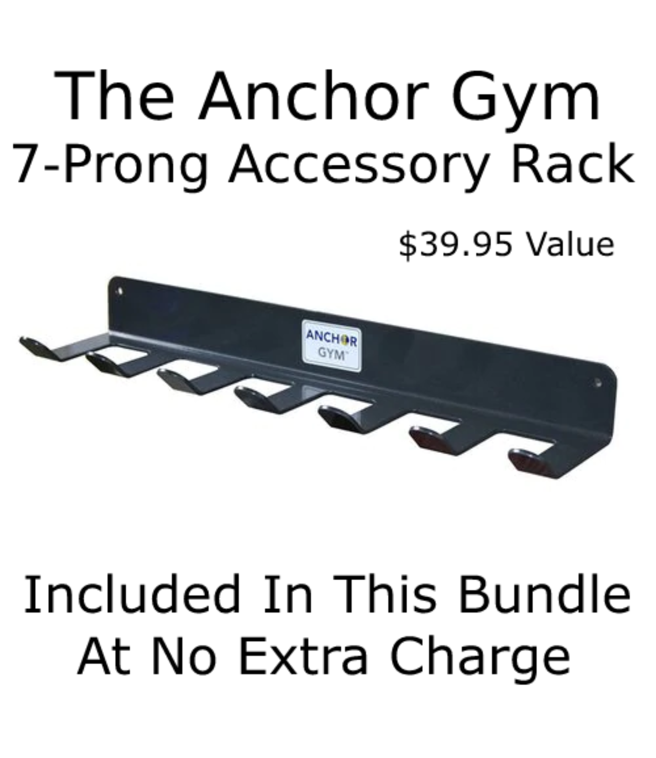Fitness Bar Wall Station Bundle– The Anchor Gym